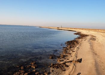 Top 10 Must-Visit Breathtaking Saudi Arabia Beaches - Wasalt Blog