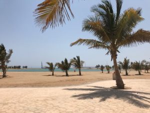 Discovering Yanbu Al Bahr: The #1 Tourist Attraction in Madinah ...