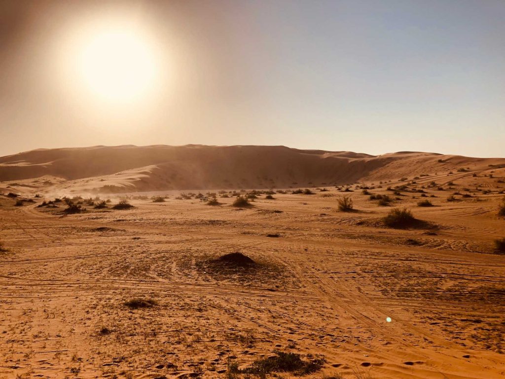 Al-Qassim Province: A Complete Area Guide for Travelers, Residents, and ...