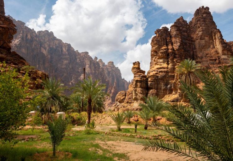 Wadi Al Disah: A Stunning Journey Into Saudi Arabia’s Most Breathtaking ...