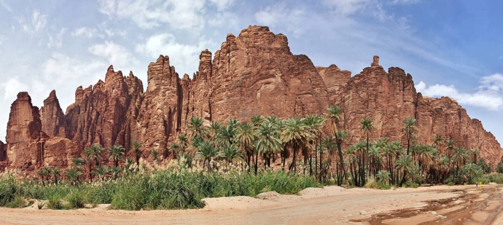 Wadi Al Disah: A Stunning Journey Into Saudi Arabia’s Most Breathtaking ...