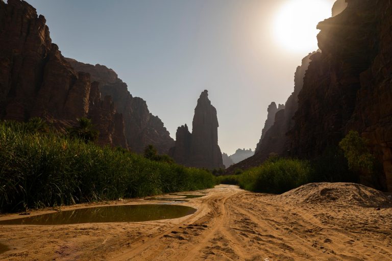Wadi Al Disah: A Stunning Journey Into Saudi Arabia’s Most Breathtaking ...